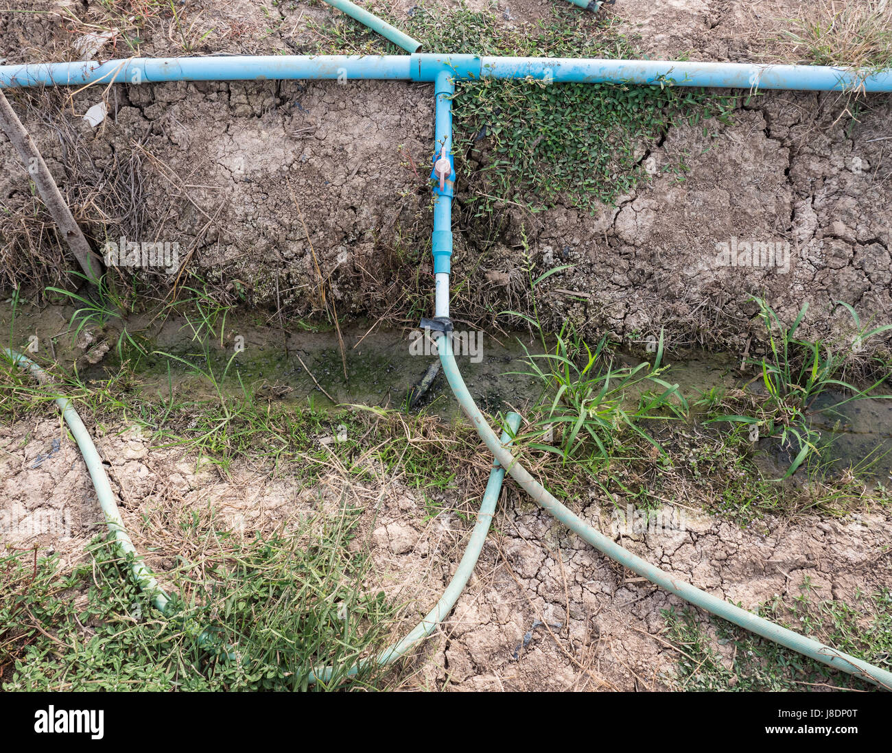 Pvc pipe plant hi-res stock photography and images - Alamy