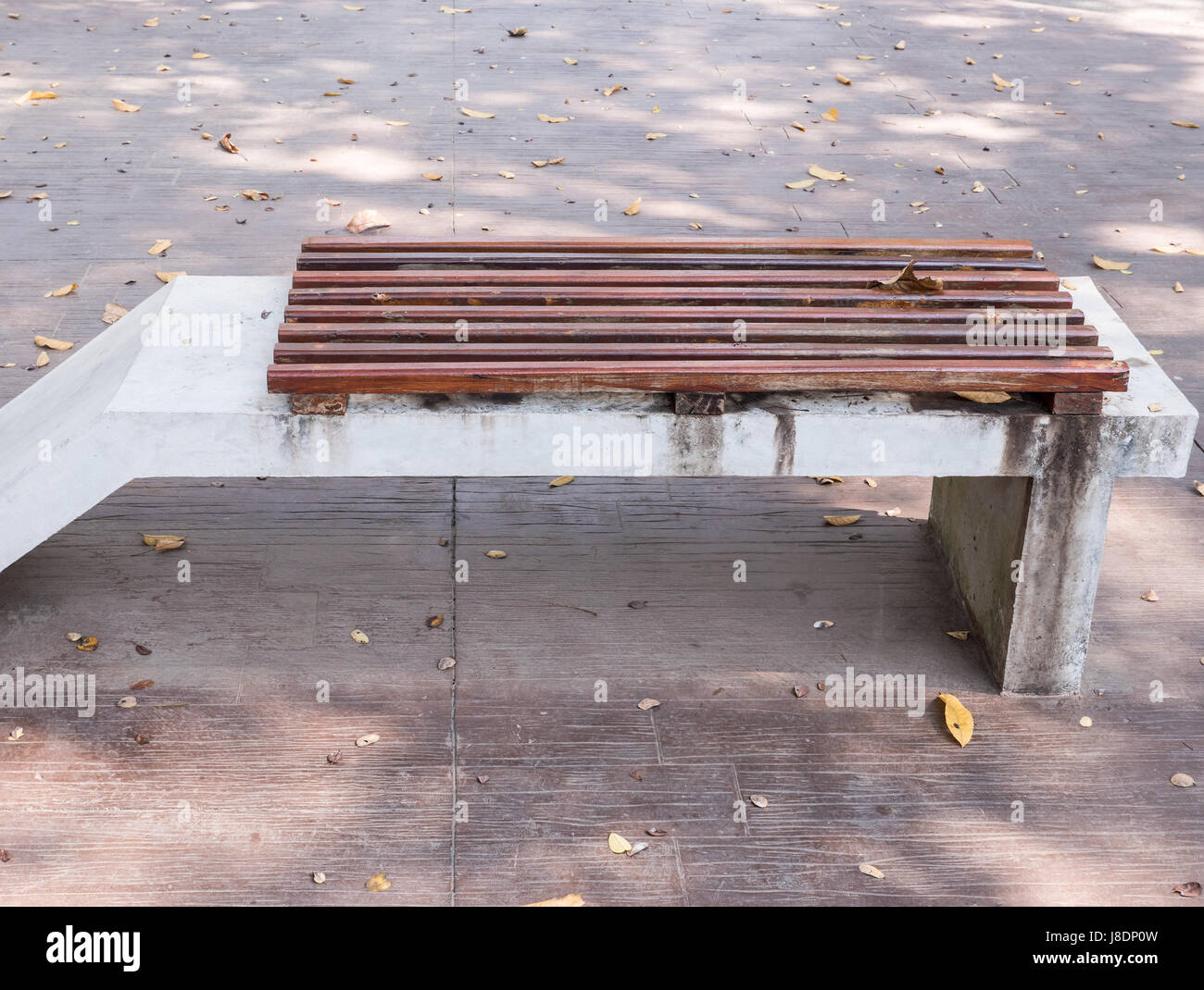 Modern concrete bench with the small timber on the tile floor of the ...