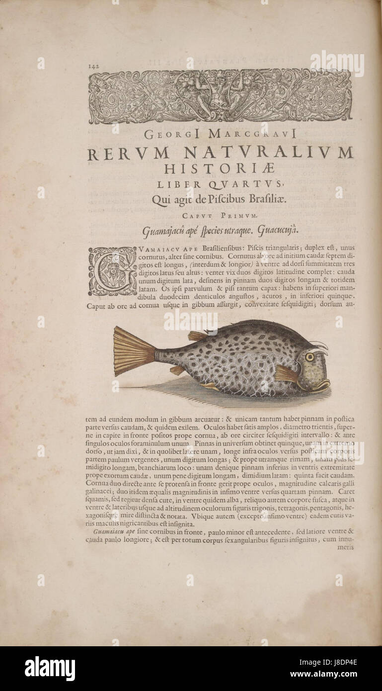 'Historia Naturalis Brasiliae' by Georg Marcgrave is a foundational ...