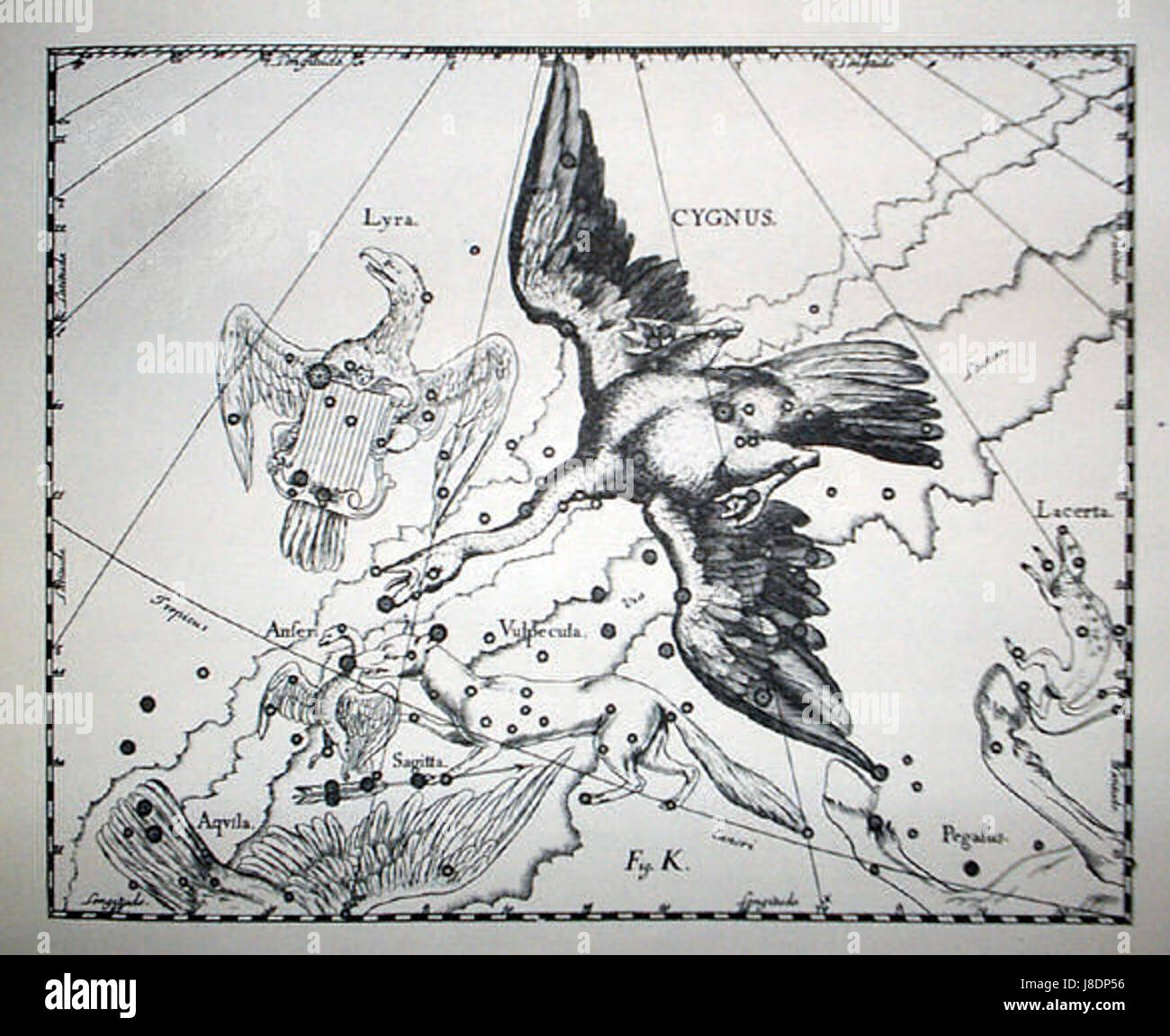 Hev 13 Fig K Cygnus refers to a celestial object in the Cygnus ...