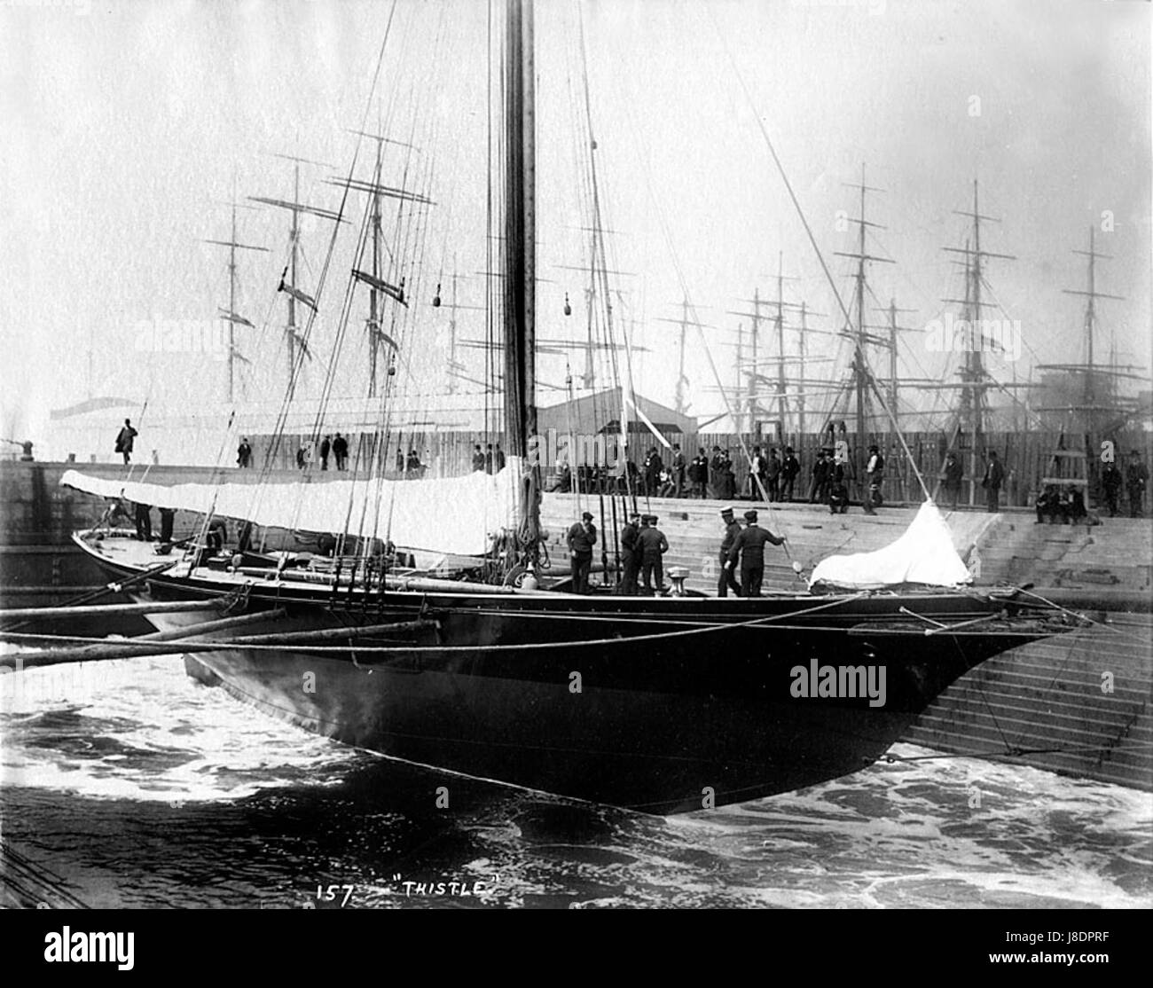 This title appears to refer to a specific object or entity named 'JSJthistle,' possibly a ...