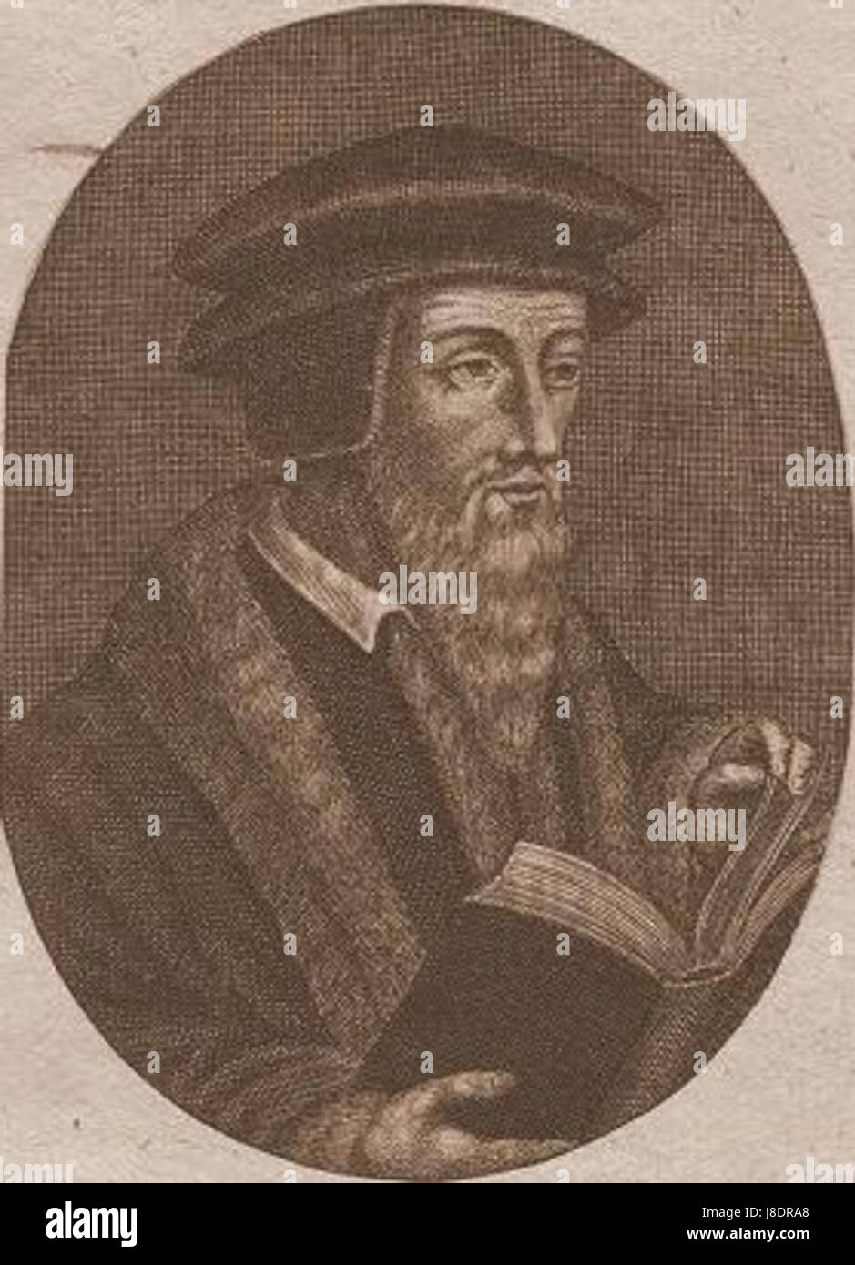 John Calvin 08 Stock Photo - Alamy
