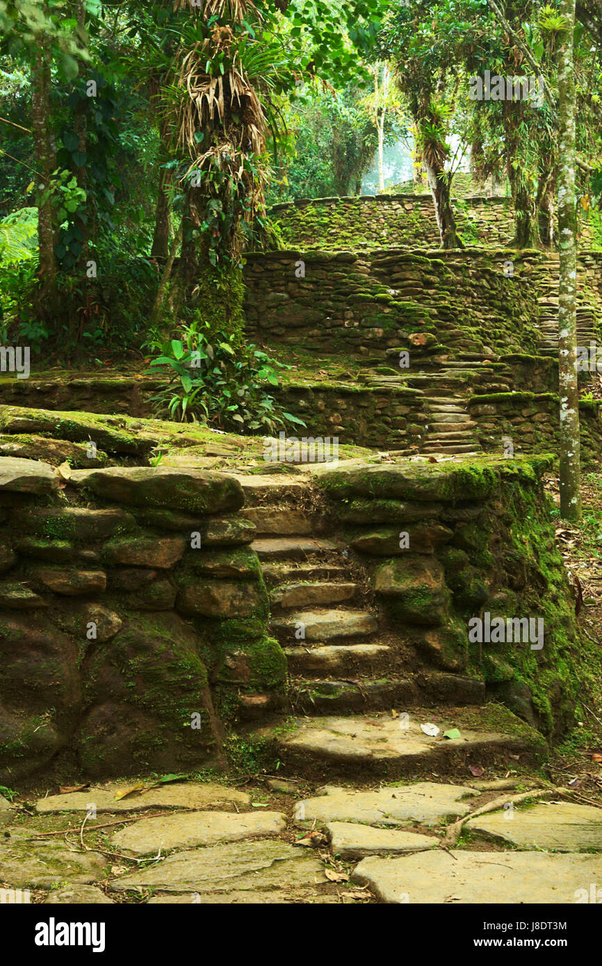 stone, rock, terrace, colombia, stair, culture, tree, stone, wood ...
