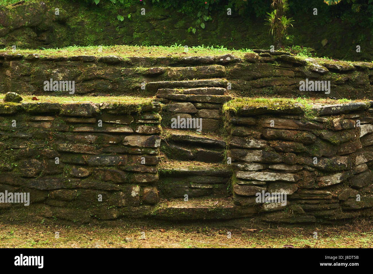 stone, rock, terrace, colombia, stair, culture, tree, stone, wood ...