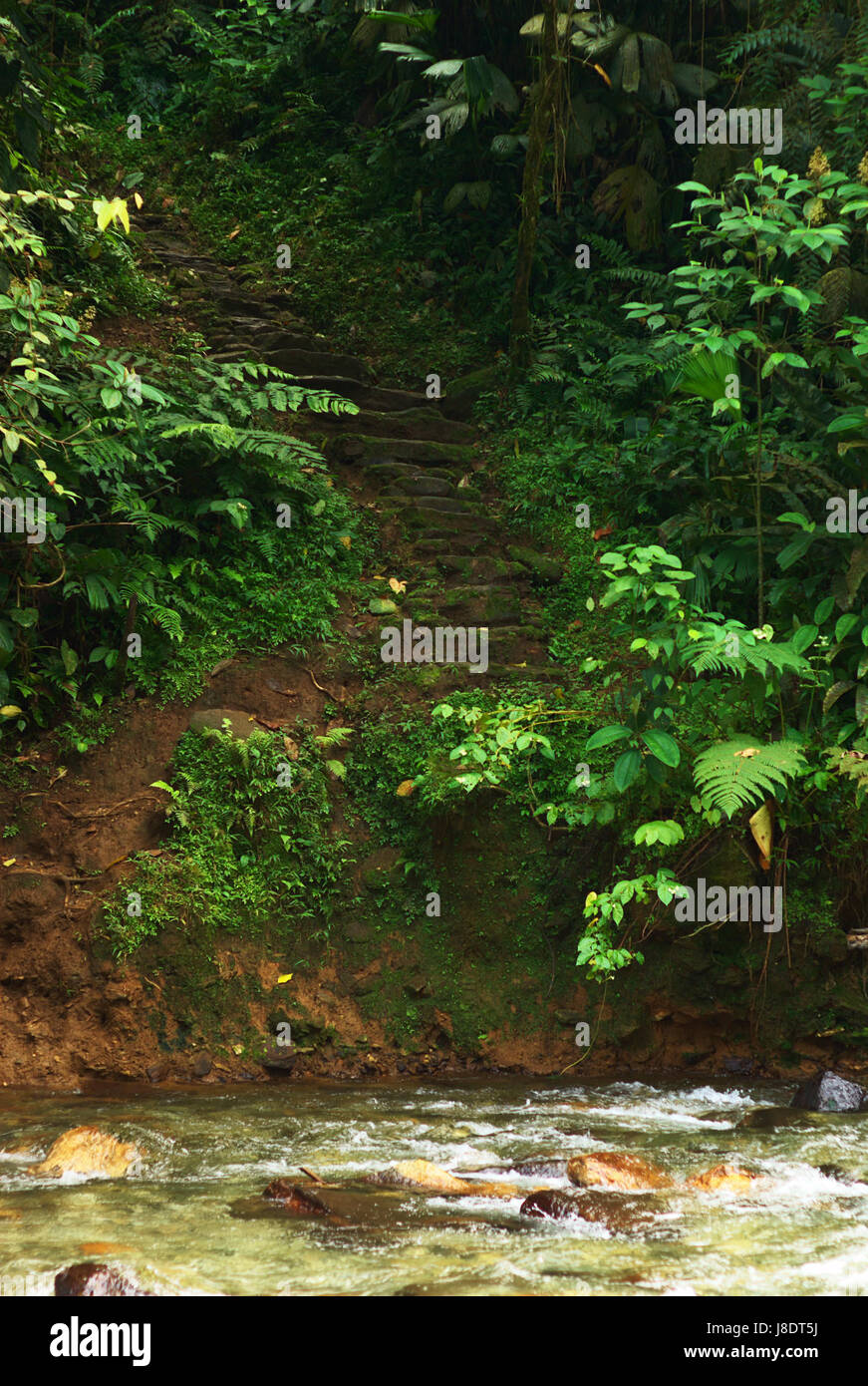 stone, rock, colombia, stair, river, water, step, tier, plant, cultural ...