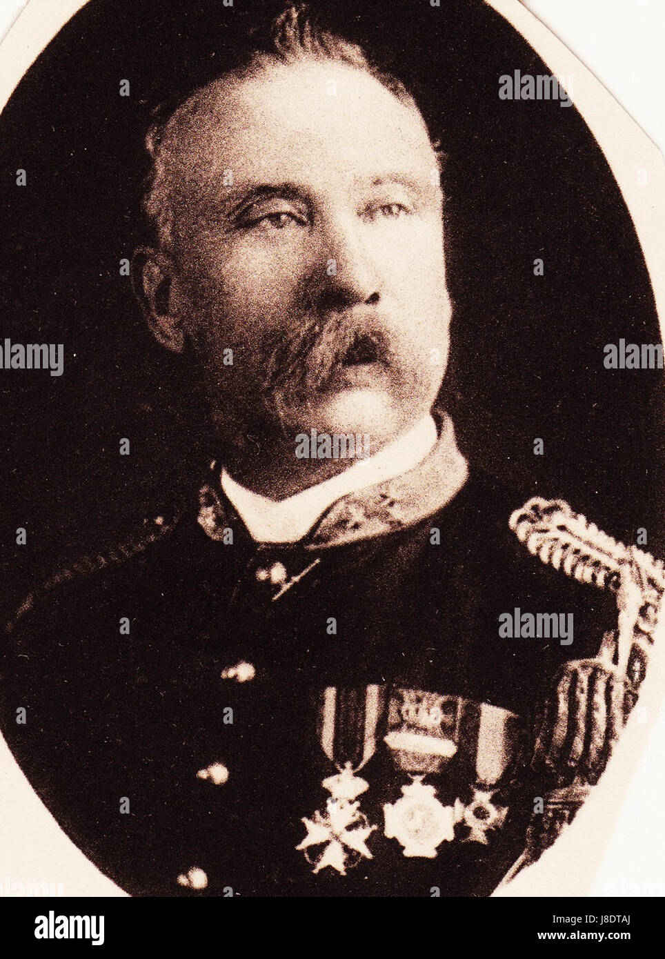 Genet art hi-res stock photography and images - Alamy