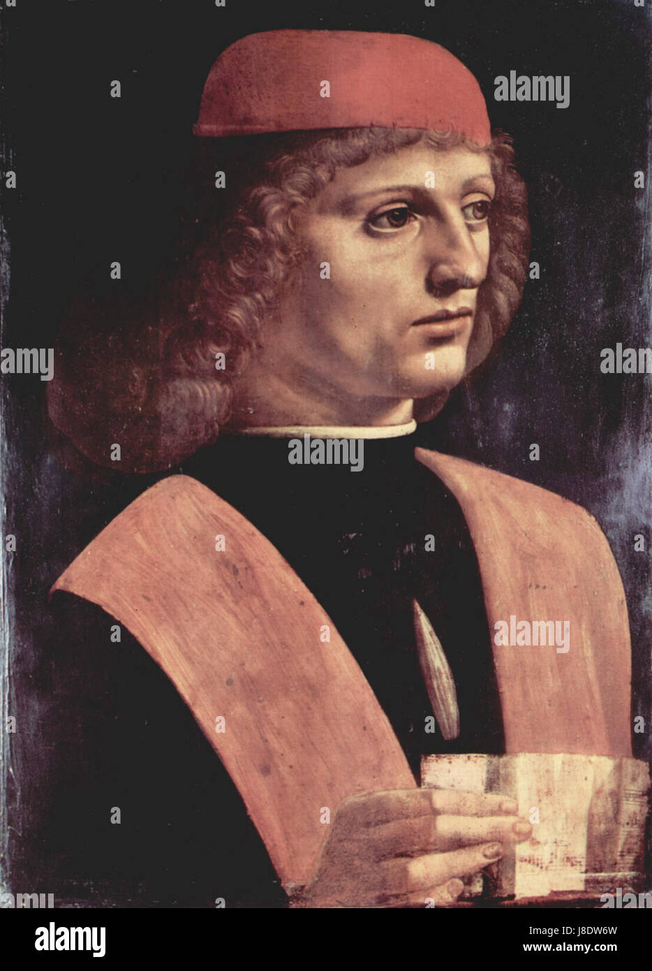 Da vinci drawing map hi-res stock photography and images - Alamy