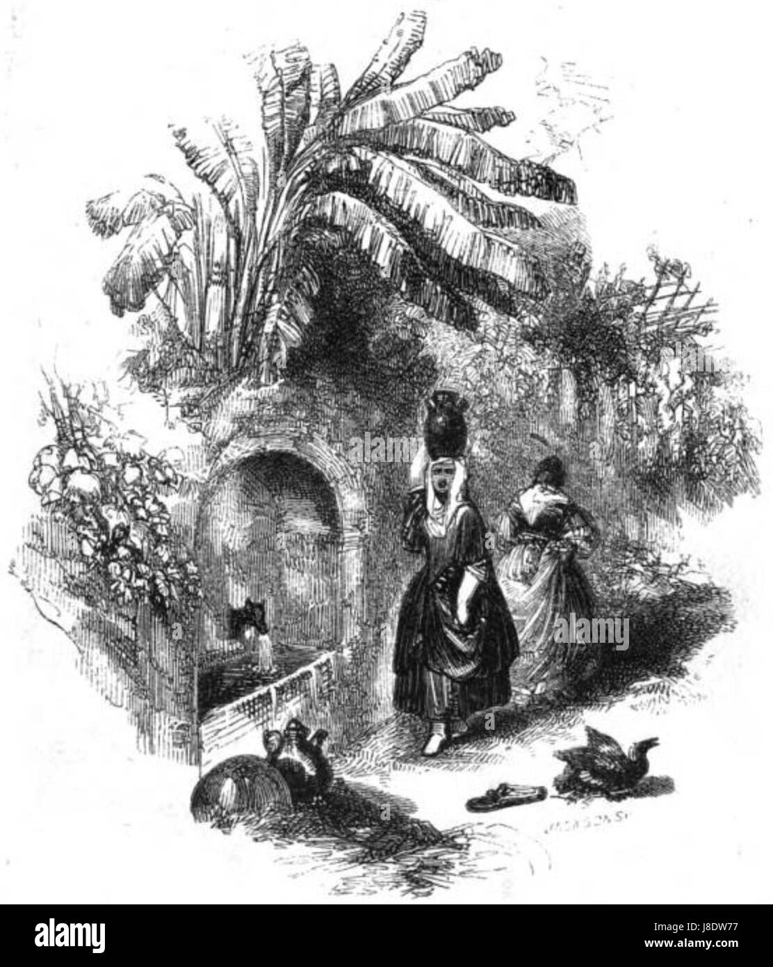 The front cover of 'Madeira: Its Climate and Scenery' from 1851 offers ...