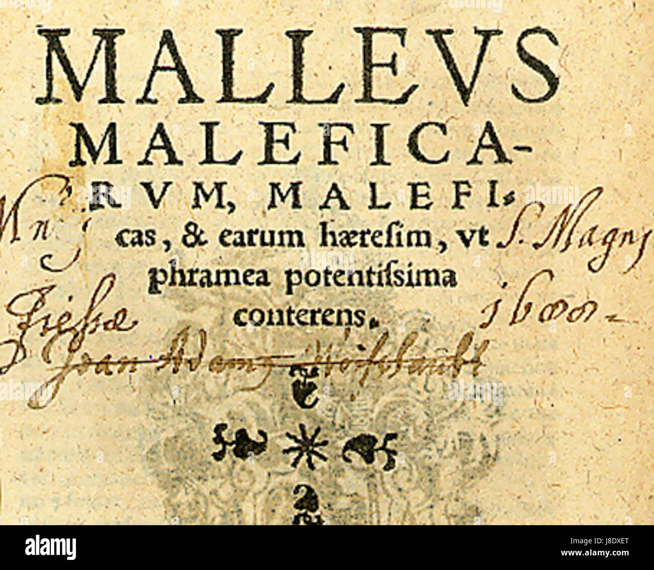 Malleus hi-res stock photography and images - Alamy