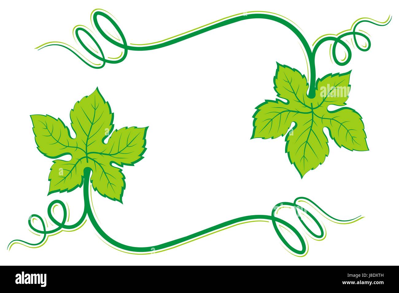 wine, branch, label, sign, frame, swirl, framework, vine, grape vine ...