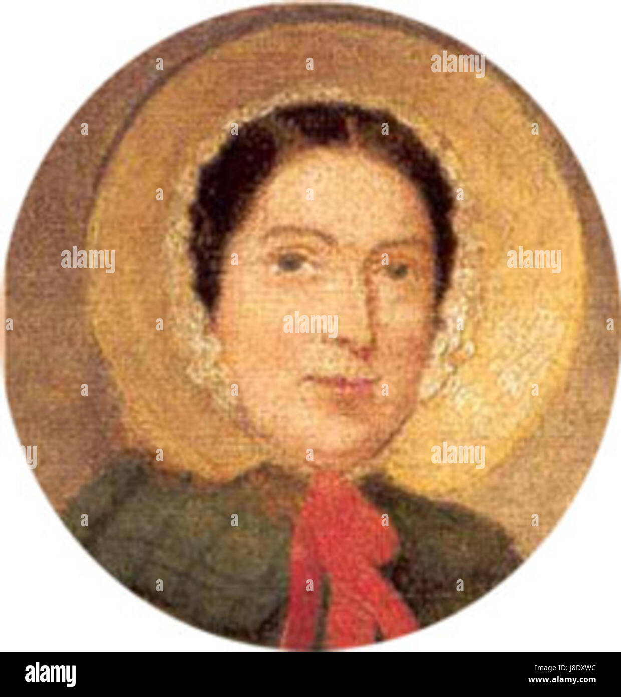 Ichthyosaurus fossil and mary anning hi-res stock photography and ...