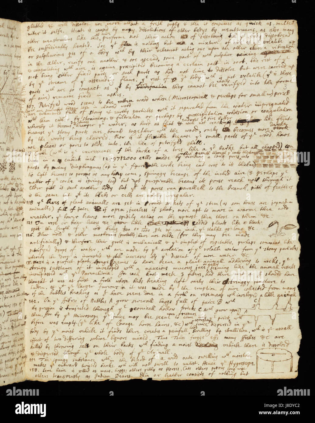 A manuscript labeled MS Add. 3958 5, containing historical or cultural ...