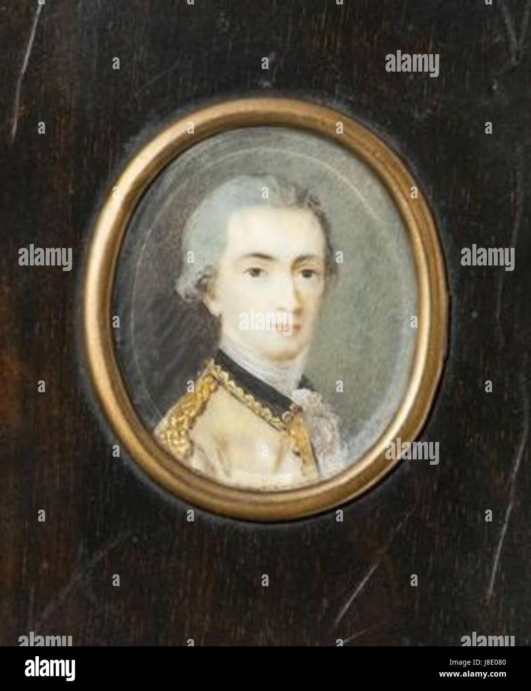 A reference to G. I. Bibikov, likely a historical or scientific figure ...