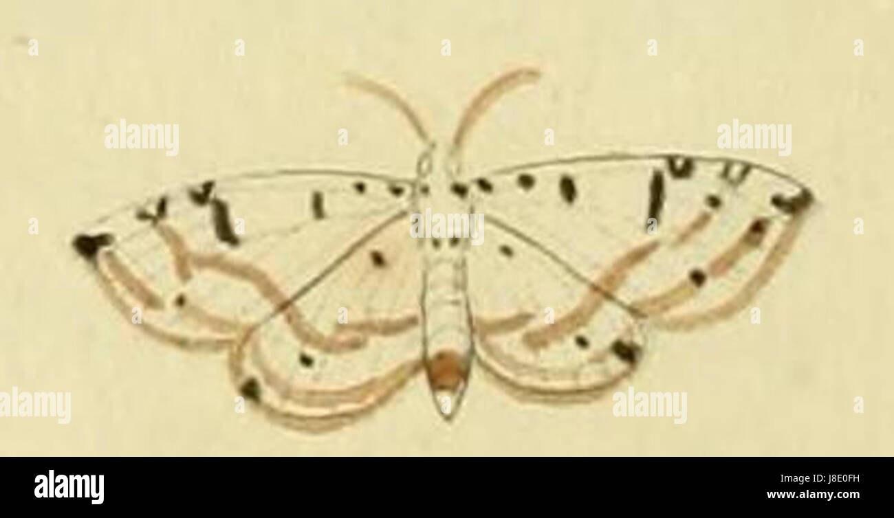 Eloria hi-res stock photography and images - Alamy