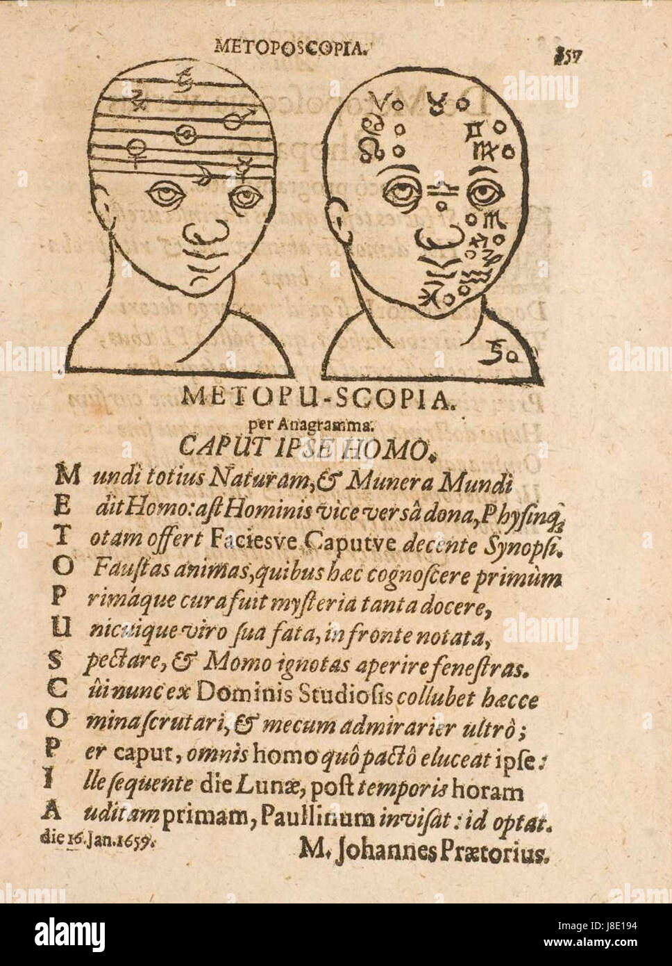 Scopia hi-res stock photography and images - Alamy