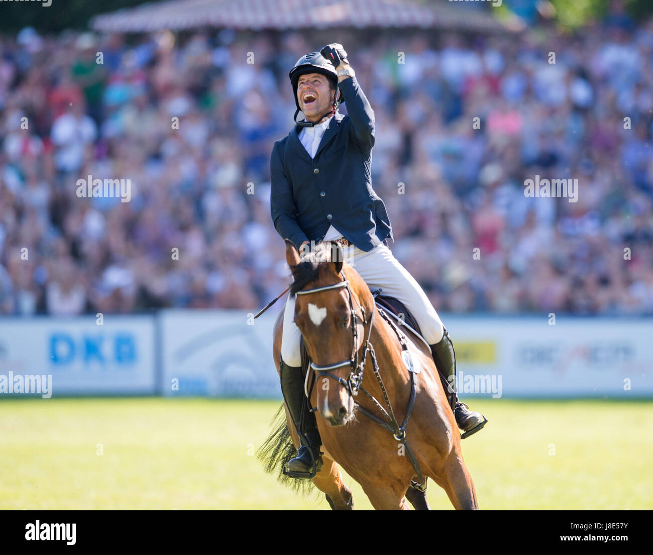 Pato derby hi-res stock photography and images - Alamy