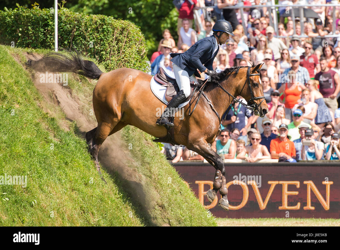 Pato horse hi-res stock photography and images - Alamy