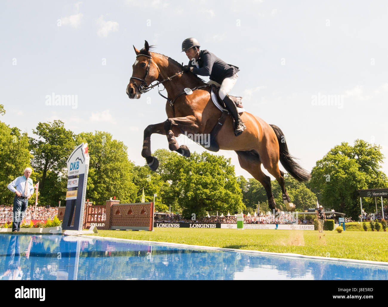 Pato horse hi-res stock photography and images - Alamy