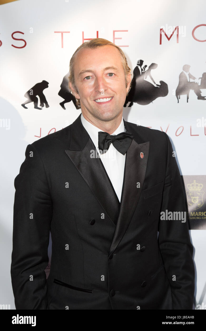 Prince mario max hi-res stock photography and images - Alamy