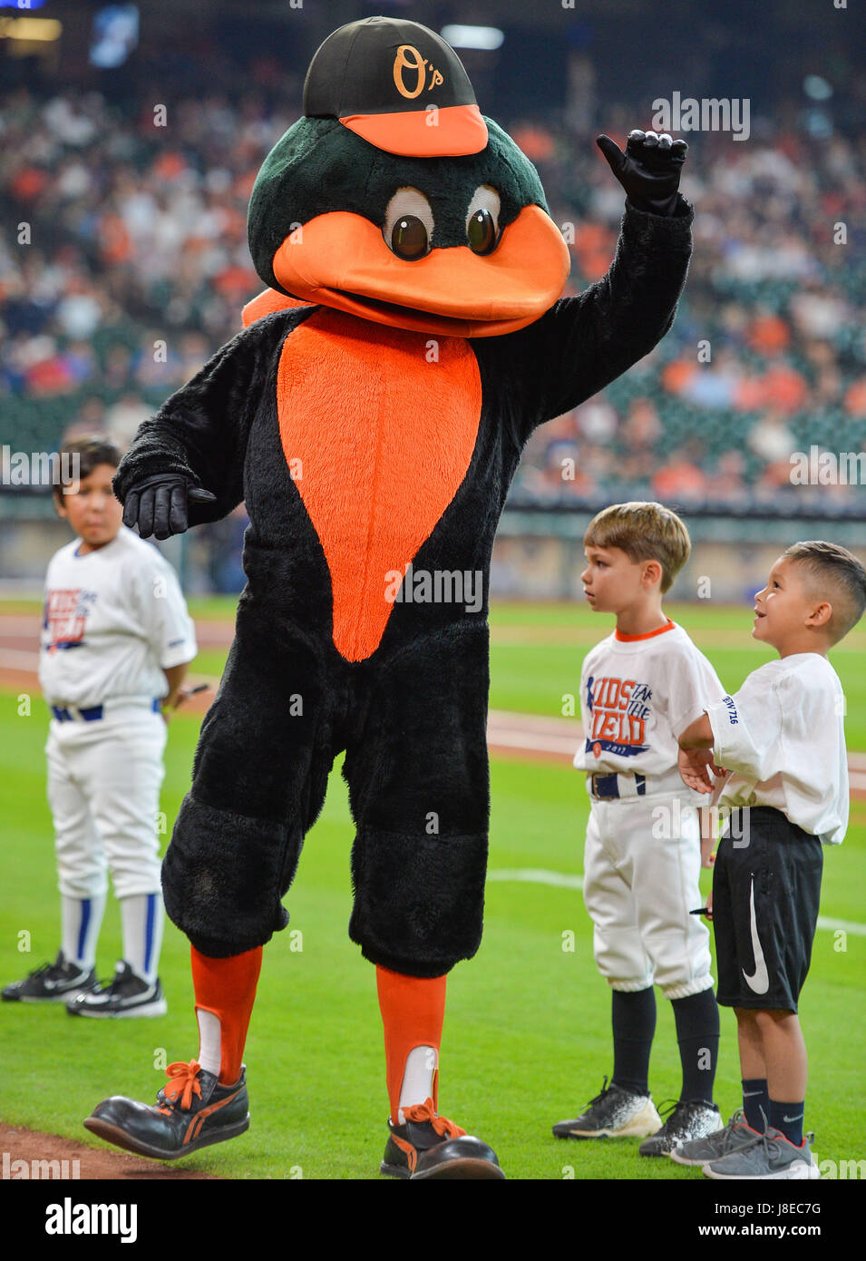 Houston, Texas, USA. 28th May, 2017. The Oriole Bird greets Astros fans ...