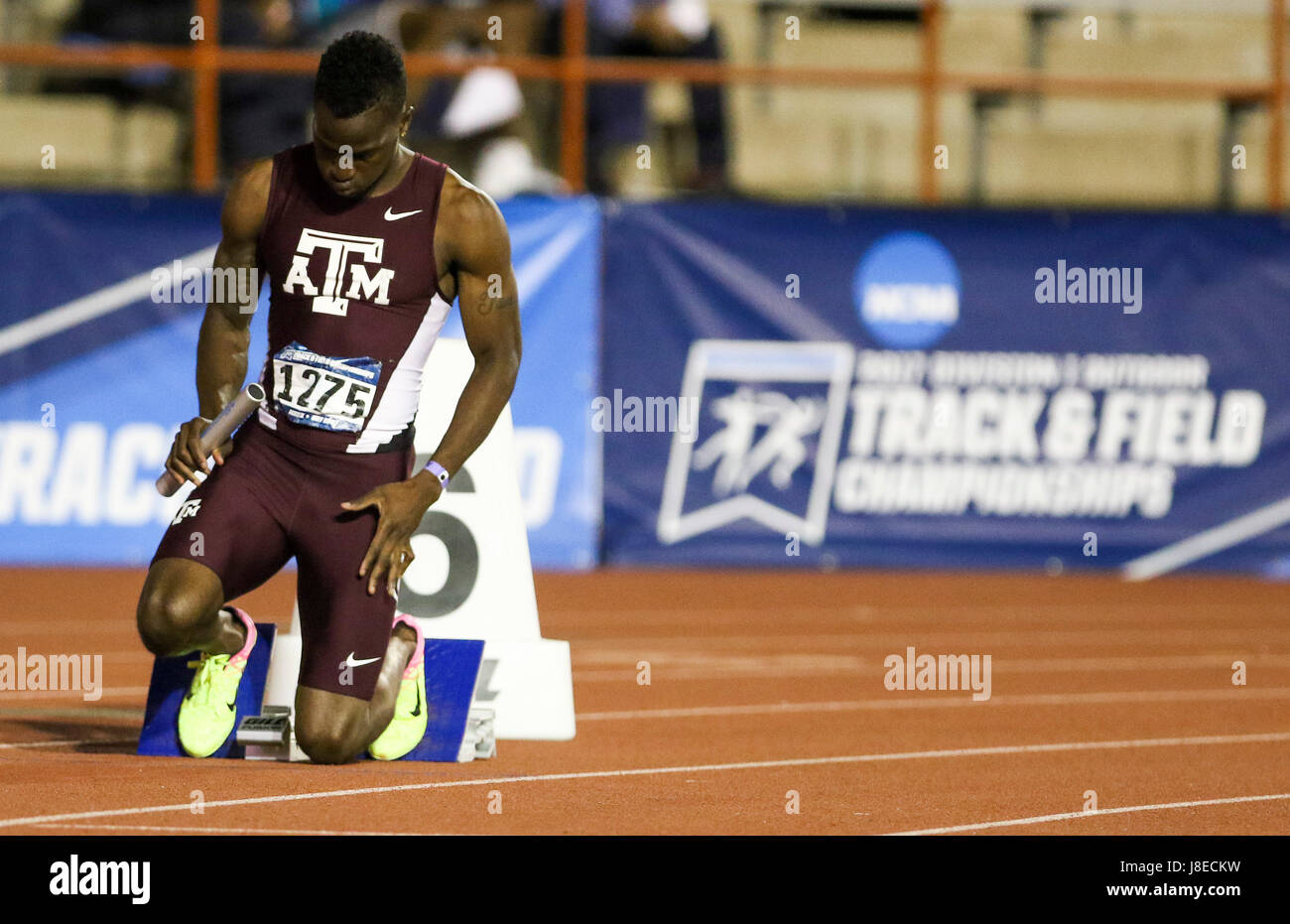 Richard rose hi-res stock photography and images - Alamy