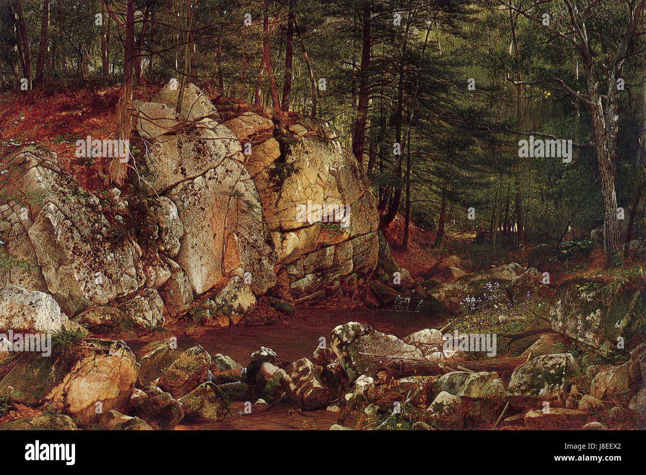The 'Johnson Brook Study' at Warwick, conducted in 1873, likely refers ...