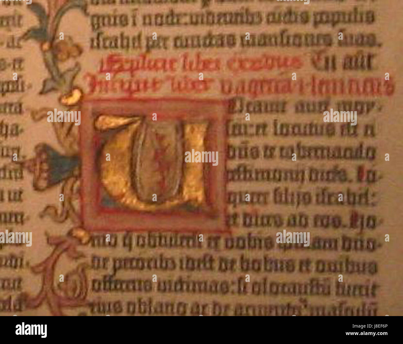 A detailed image or study related to Johannes Gutenberg, the inventor ...