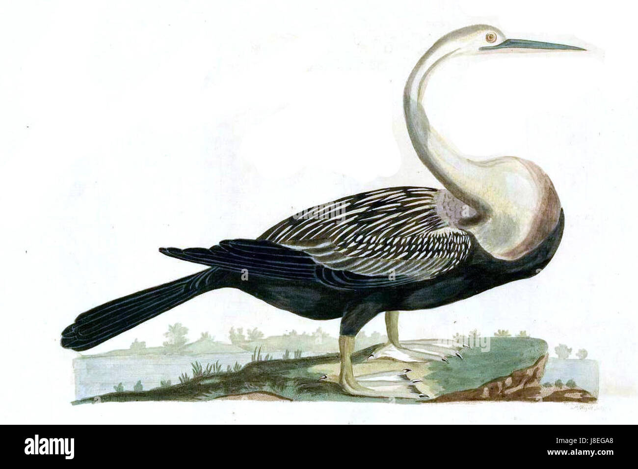 Old 18th 19th century Cut Out Stock Images & Pictures - Alamy