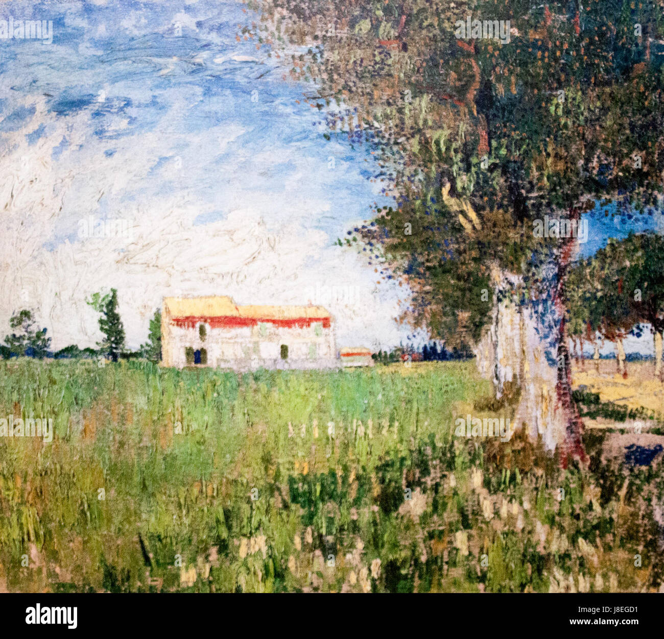 Color palette in wheat hi-res stock photography and images - Alamy