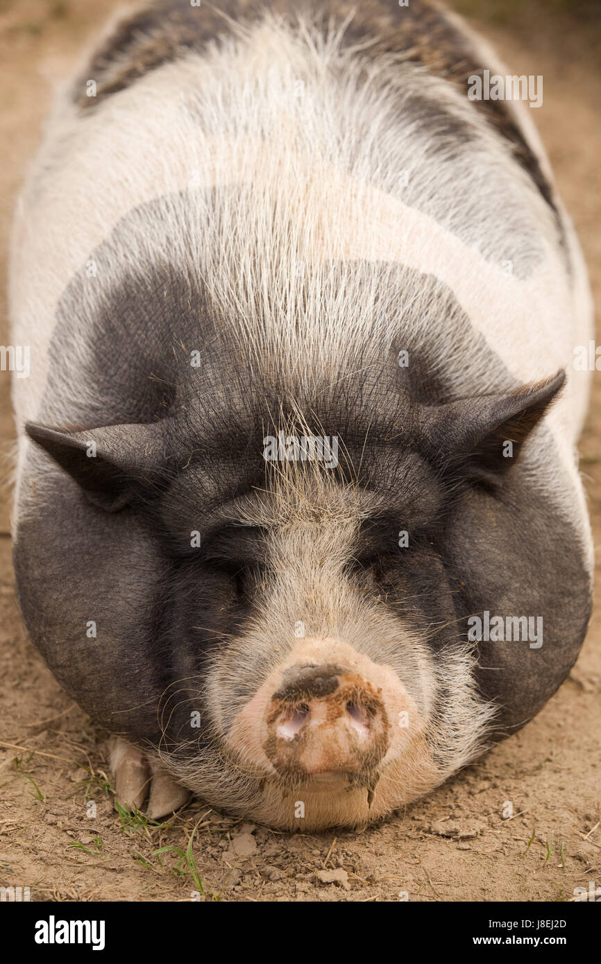 Cutter Brooks High Resolution Stock Photography and Images - Alamy