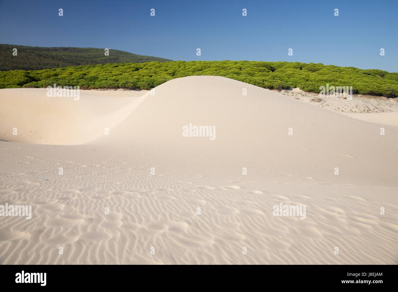 walk, go, going, walking, desert, wasteland, snow, coke, cocaine ...