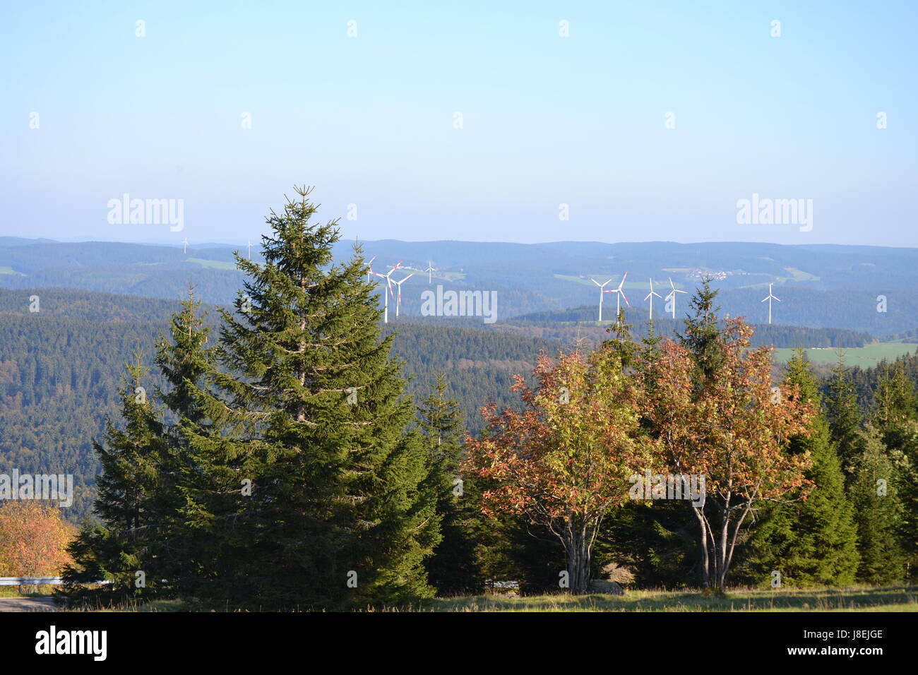 mountains, wind energy, black forest, wind engine, mountain, pinwheels ...