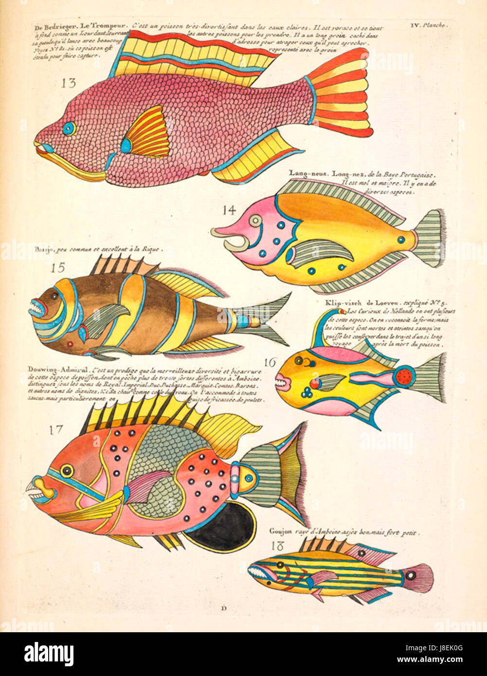 Louis Renard's *Poissons, Ecrevisses et CrustacÃ©s* features detailed ...