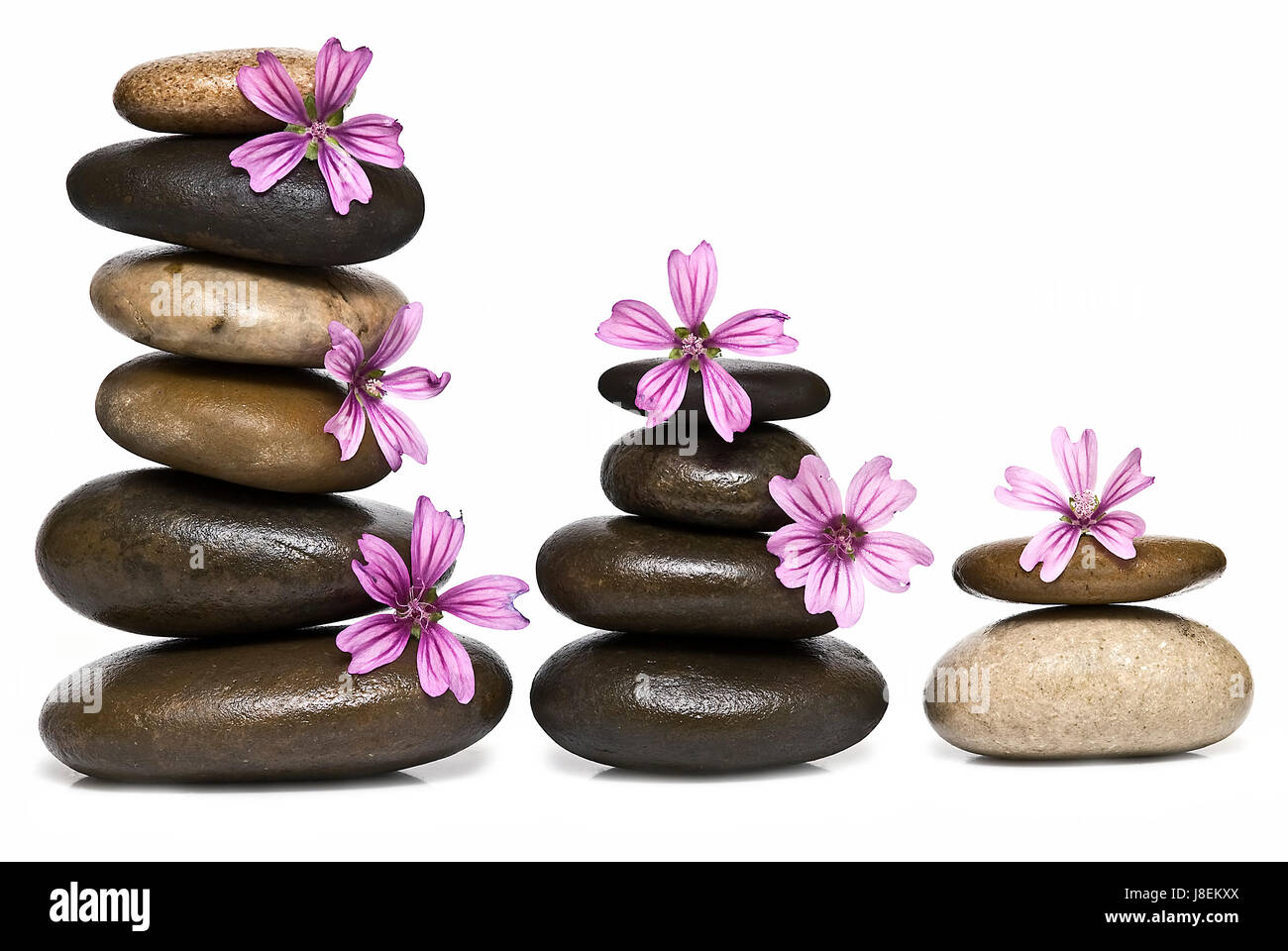 Free spirit model Cut Out Stock Images & Pictures - Alamy