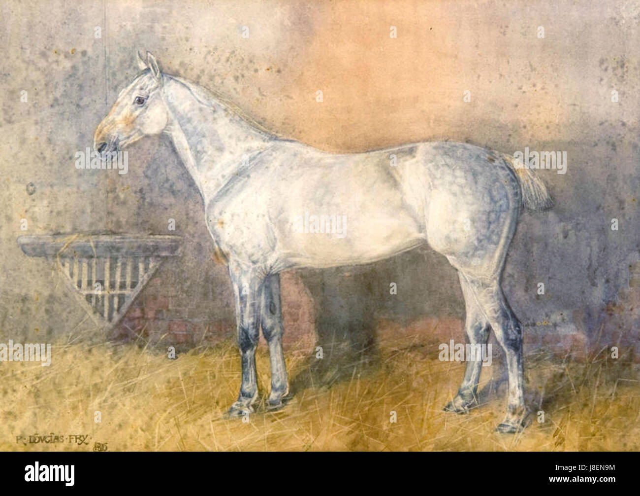 Horse stable drawing hi-res stock photography and images - Alamy