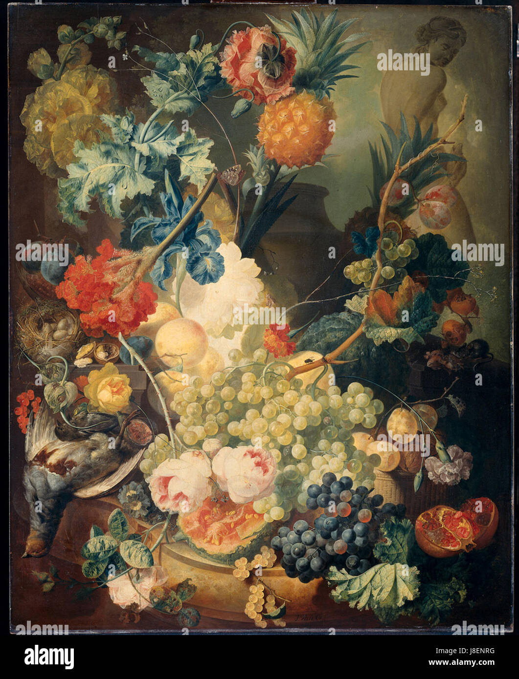 Jan van os hi-res stock photography and images - Alamy