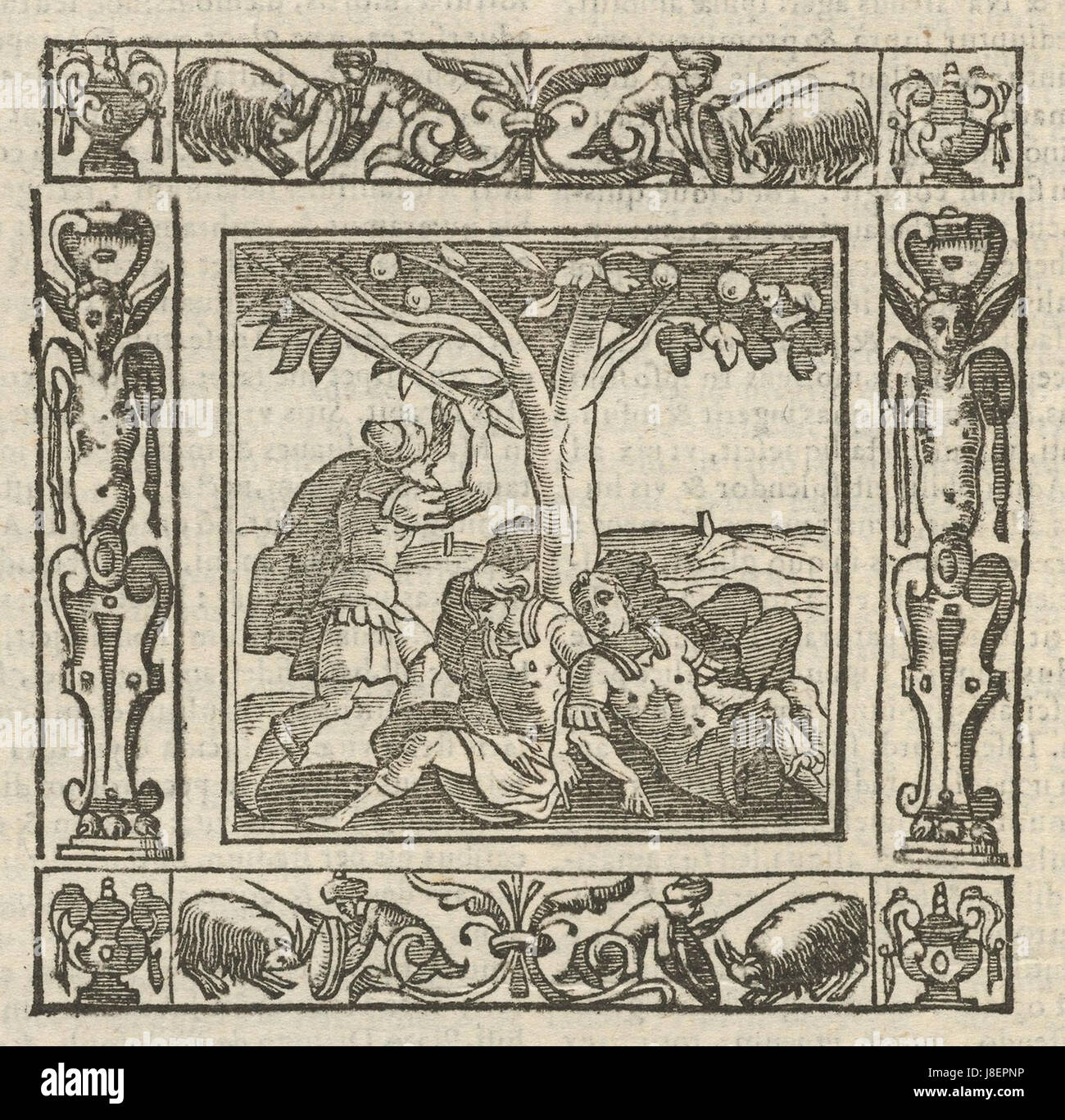 1621 edition hi-res stock photography and images - Alamy