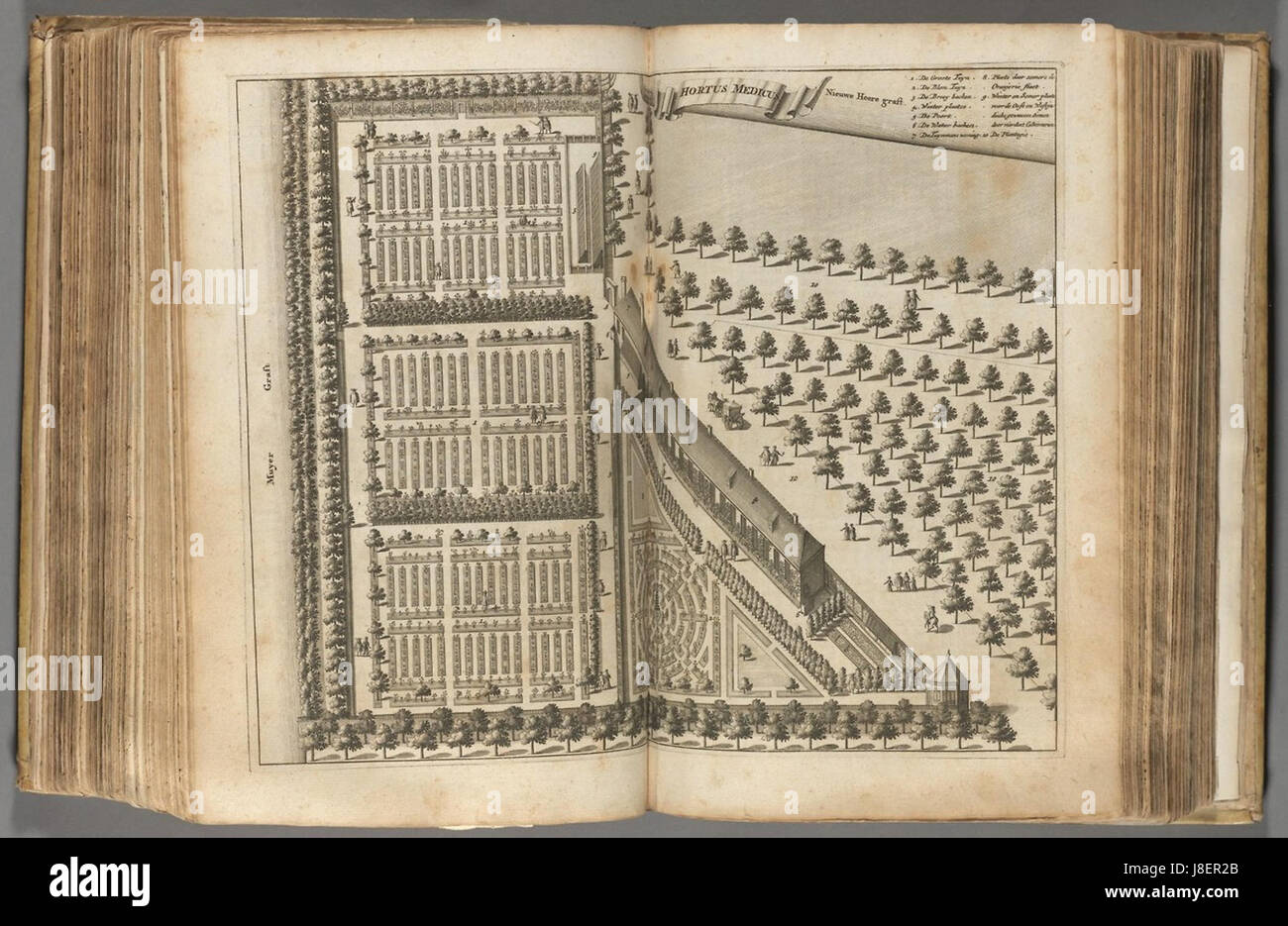 Houghton Neth 3250.3 Hortus Medicus is a botanical work detailing ...
