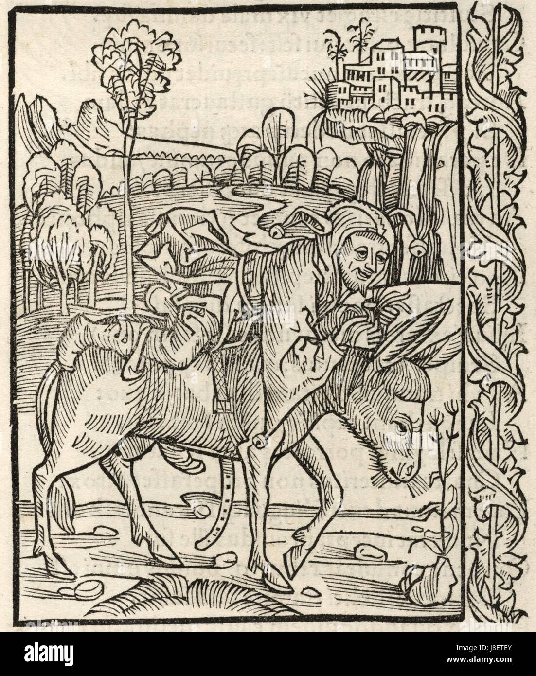 Houghton WKR 1.1.12 Brant, XXIII crop Stock Photo - Alamy