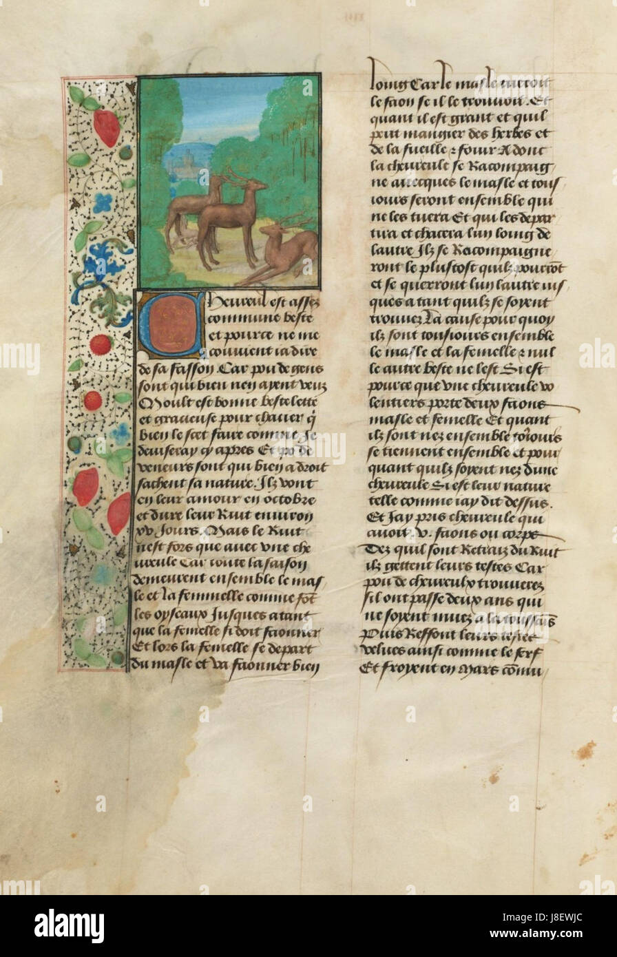 The Houghton Manuscript Typ 130 is a medieval text, likely related to ...