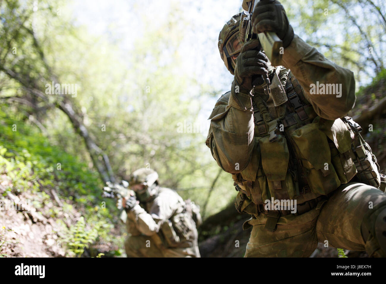 Officers on military mission in woods during day Stock Photo - Alamy