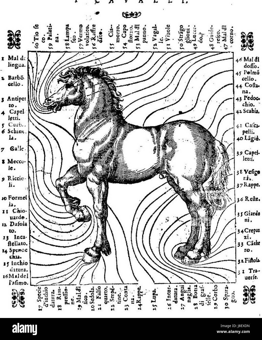 Epidemics diseases Black and White Stock Photos & Images - Alamy