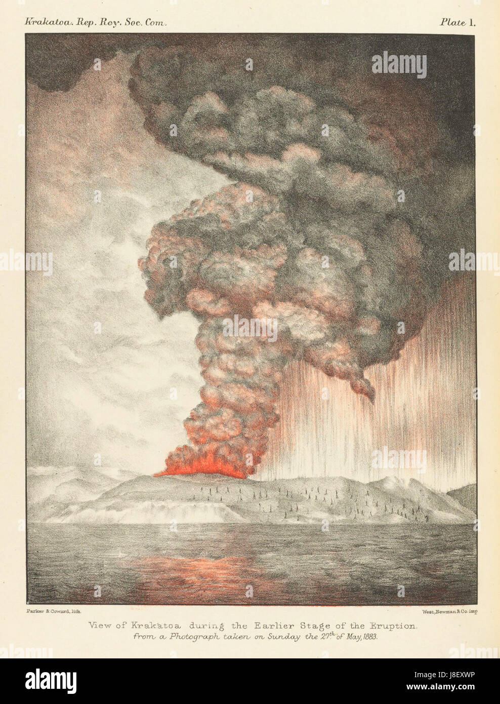 Krakatoa 1883 Damage