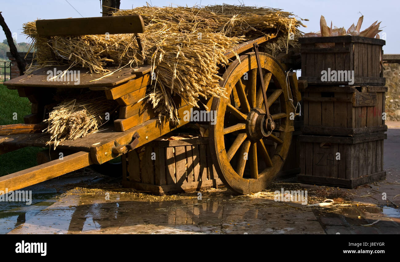 Sheaves of corn hi-res stock photography and images - Alamy