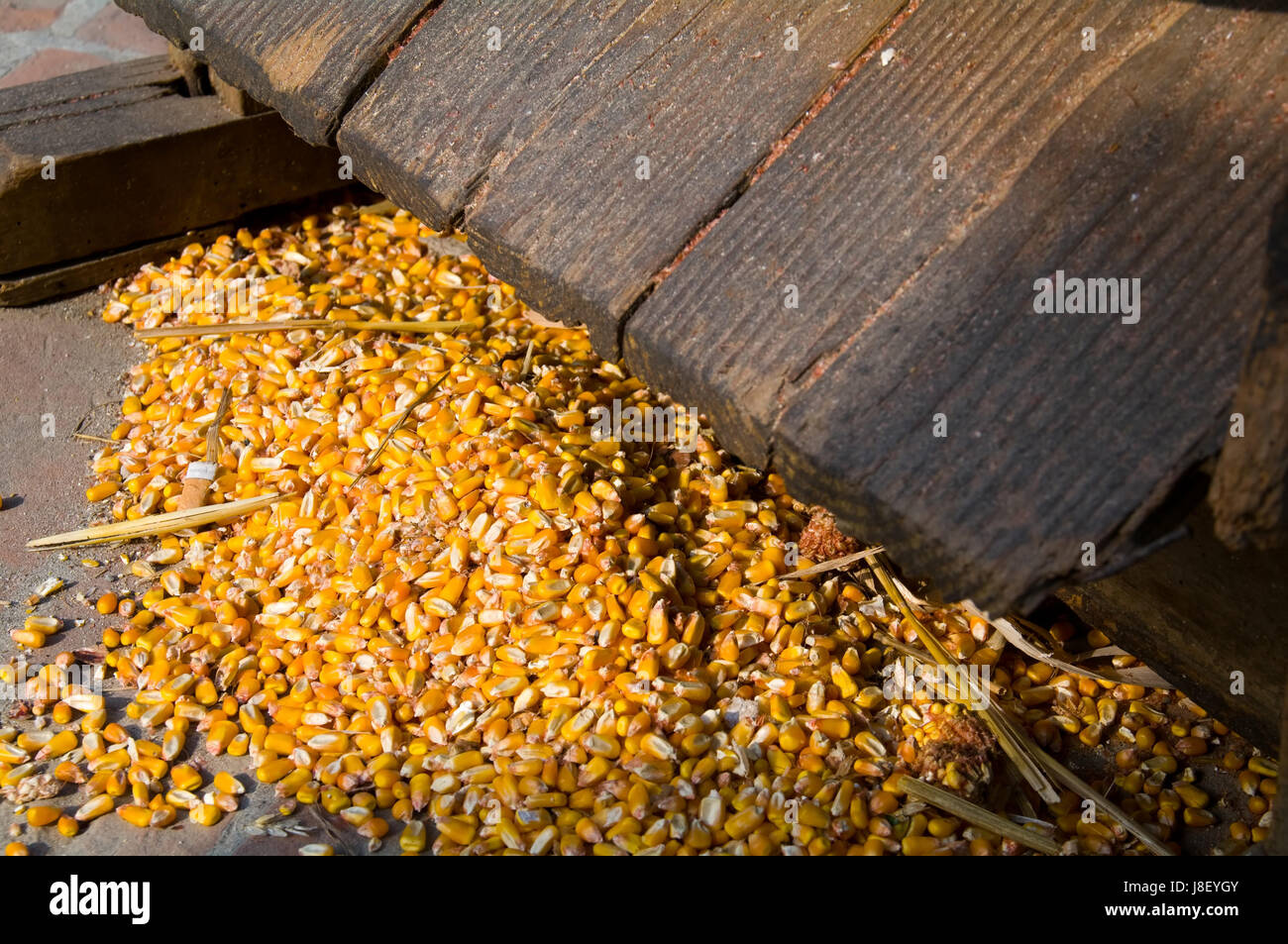 cigarette, food, aliment, wood, agriculture, farming, vegetable, dry ...