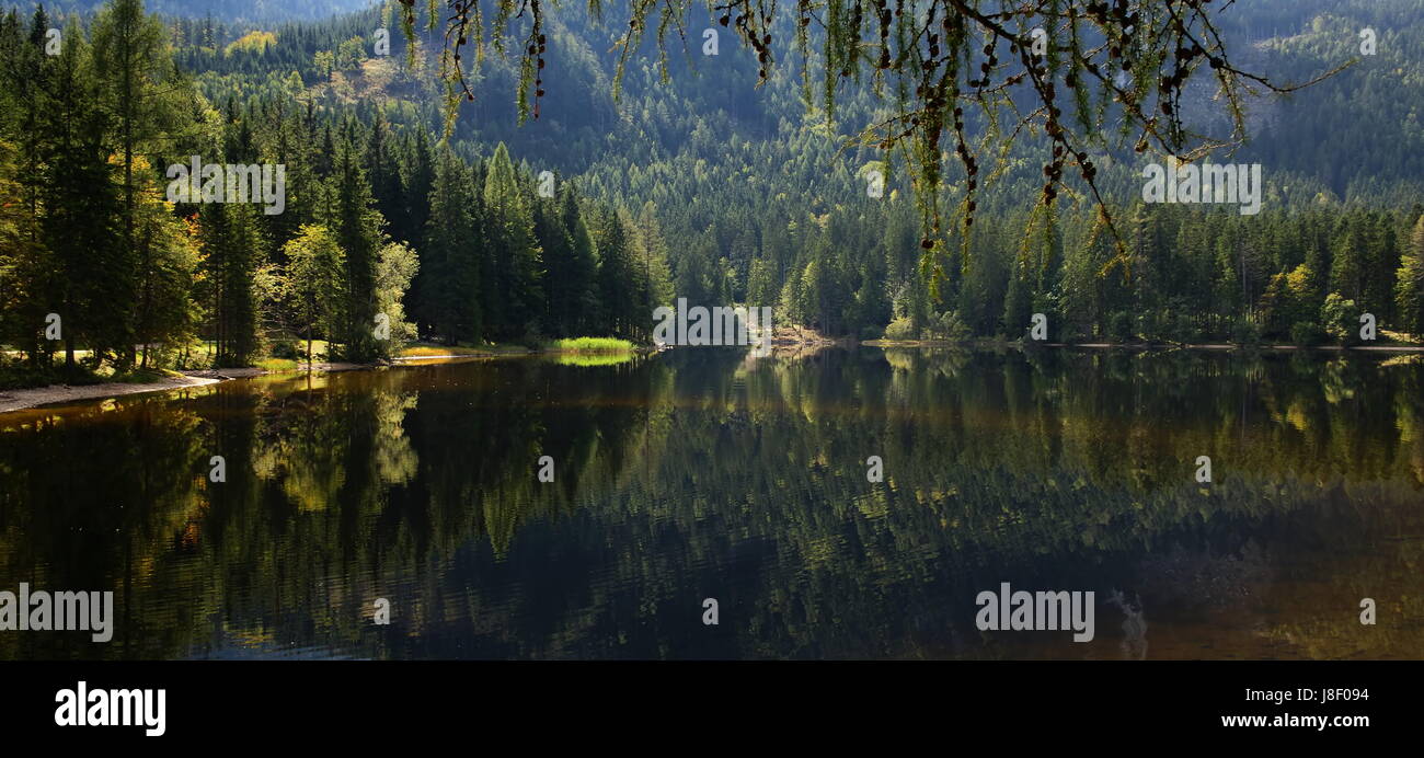 travel, tourism, alps, austrians, styria, tear, tree, trees, mountains ...