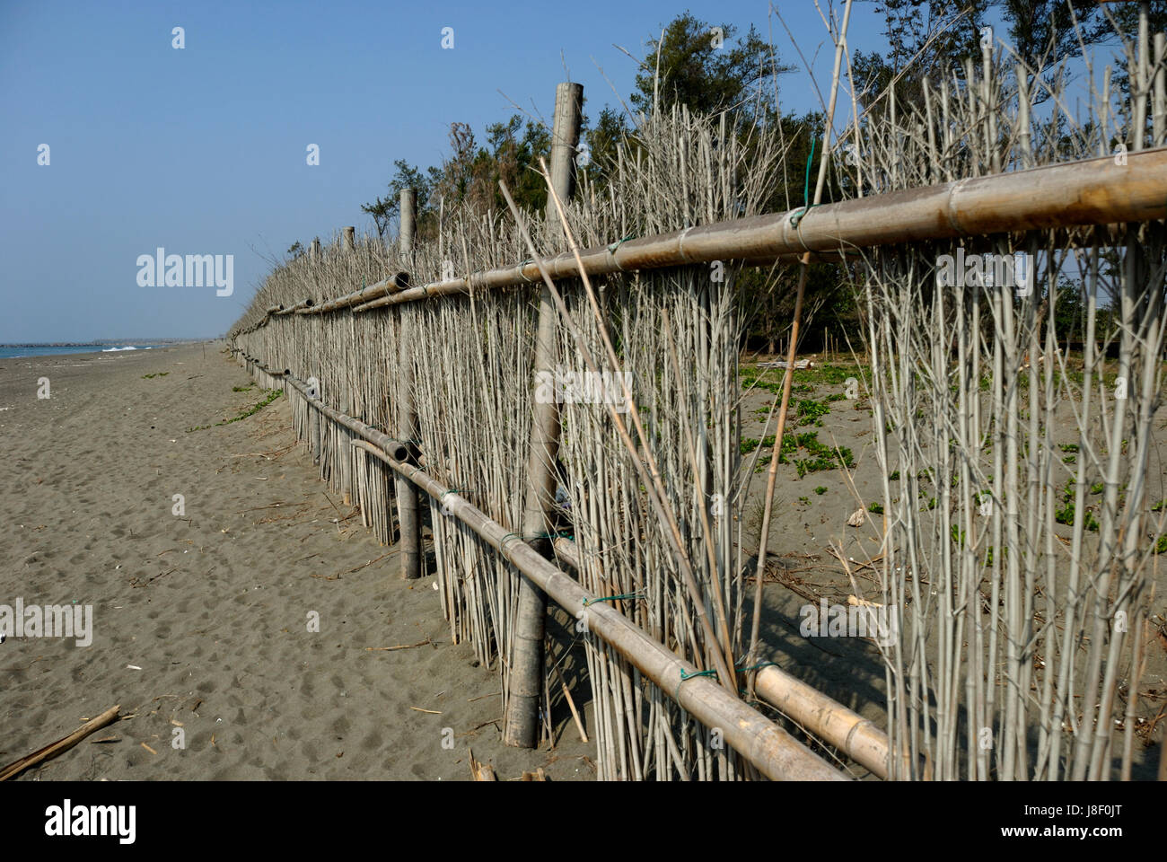 windbreak on the beach of anping Stock Photo - Alamy