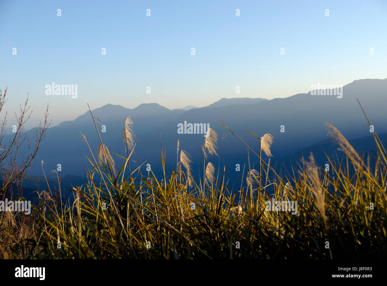 chushan on alishan Stock Photo - Alamy