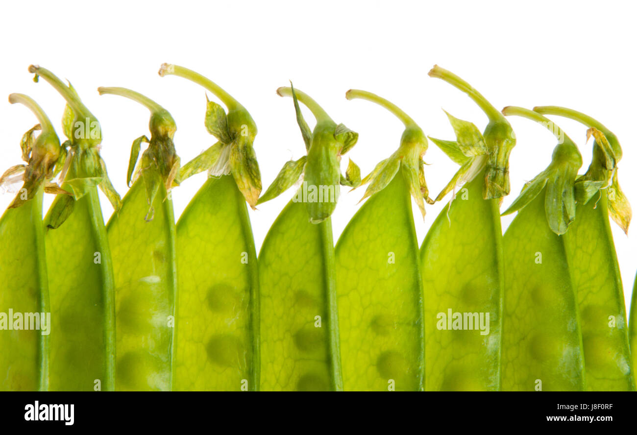 some, several, a few, food, aliment, isolated, closeup, green ...