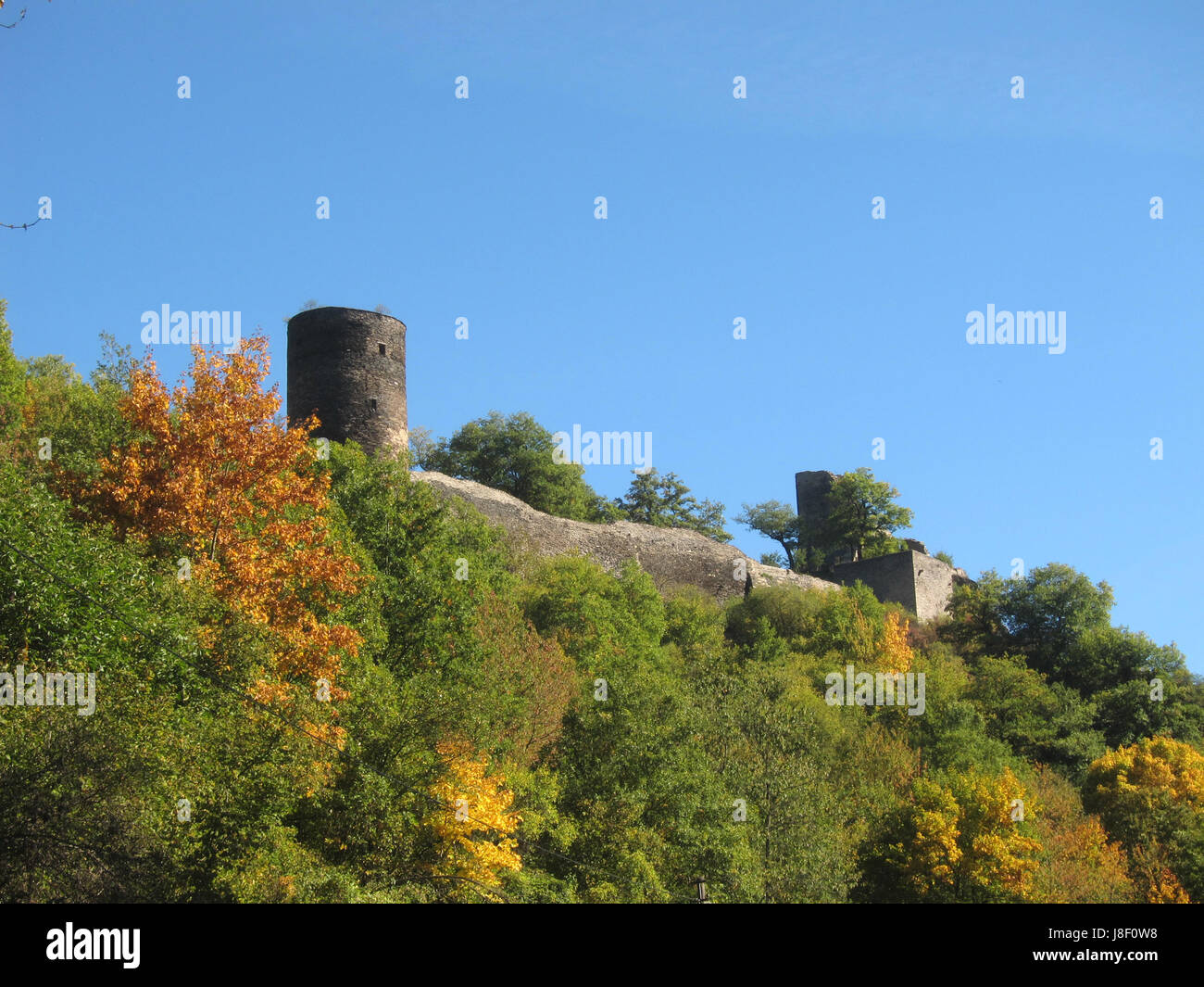 towers, rhineland, forest, chateau, castle, fall, autumn, towers, ruin ...